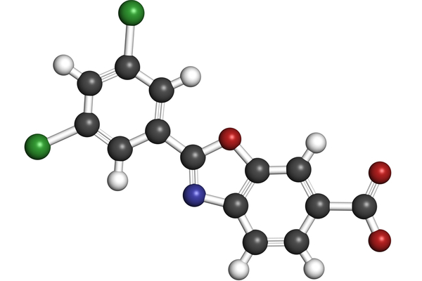 O que é amiloidose?